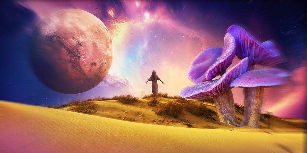 LLM hallucination risks and prevention